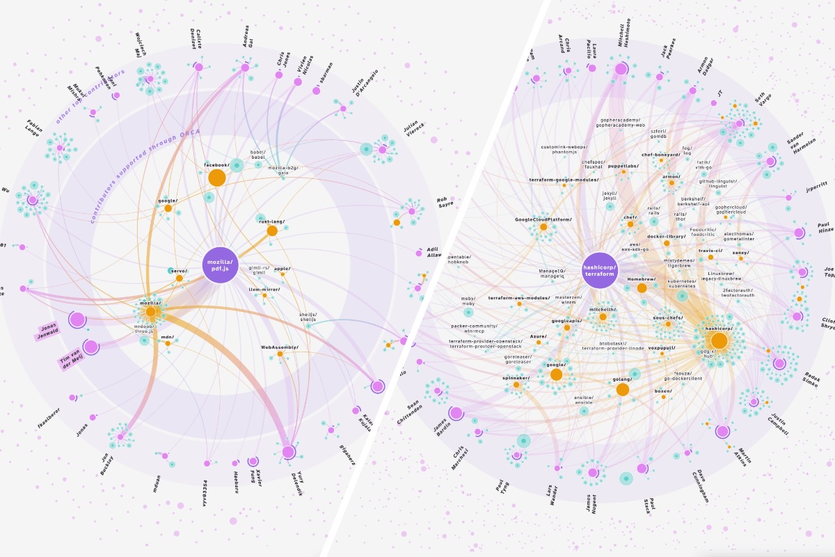 The Top Contributor Network a GitHub Repository