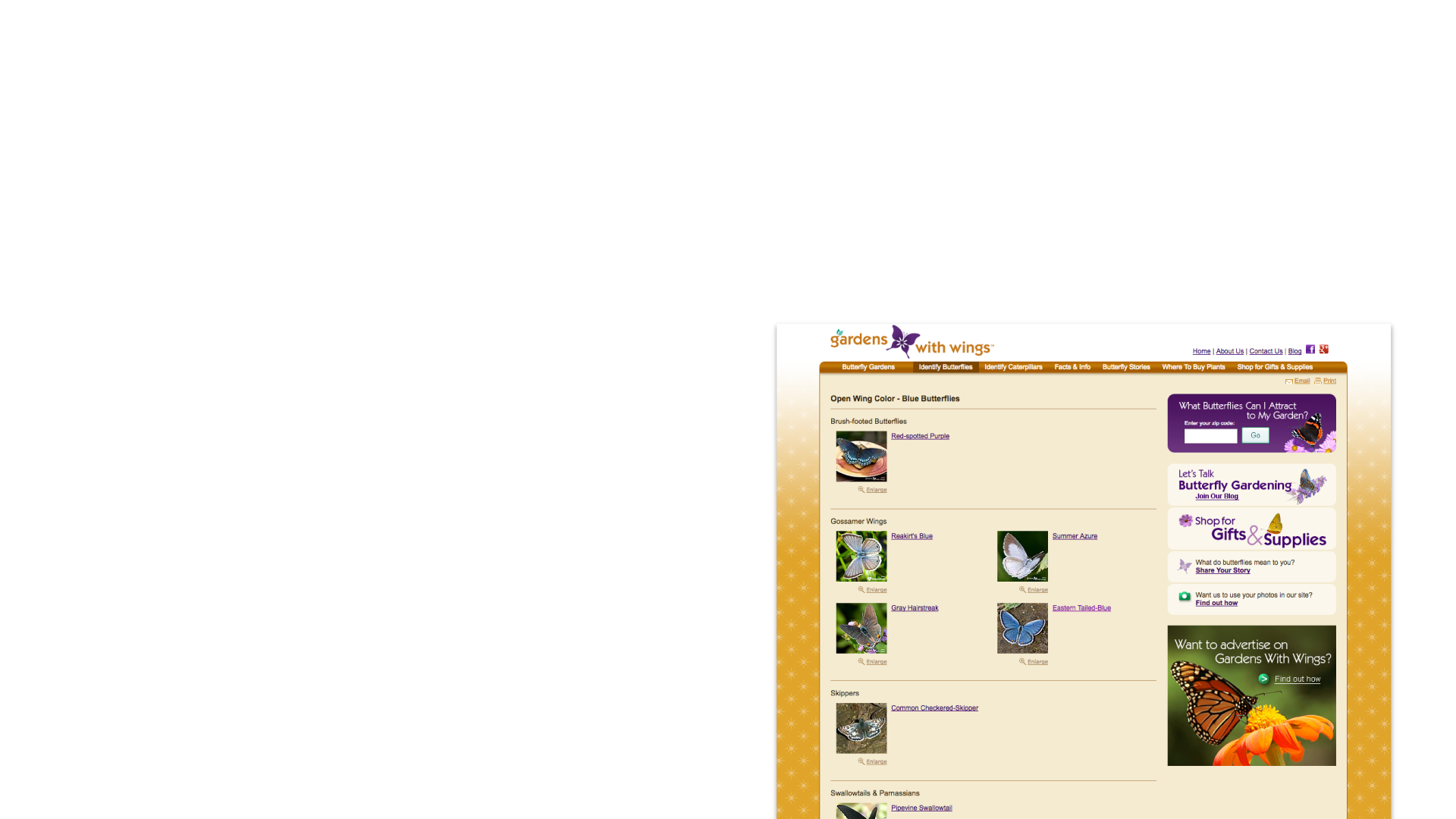 data sketches | a visualization a month