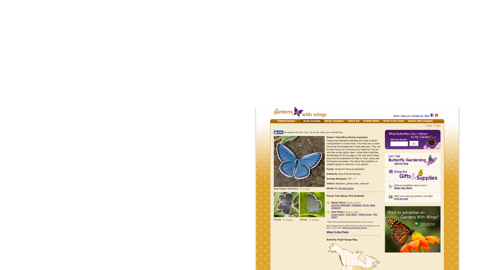 data sketches | a visualization a month