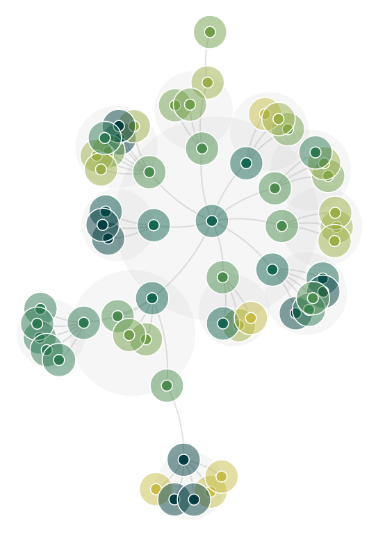 Hacking the Visual norm