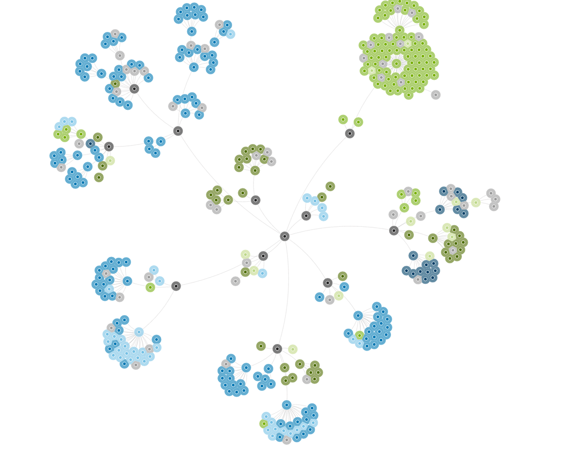 Hacking the Visual norm