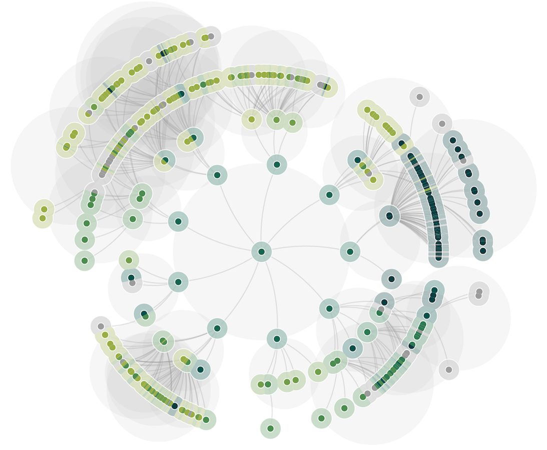 Hacking the Visual norm