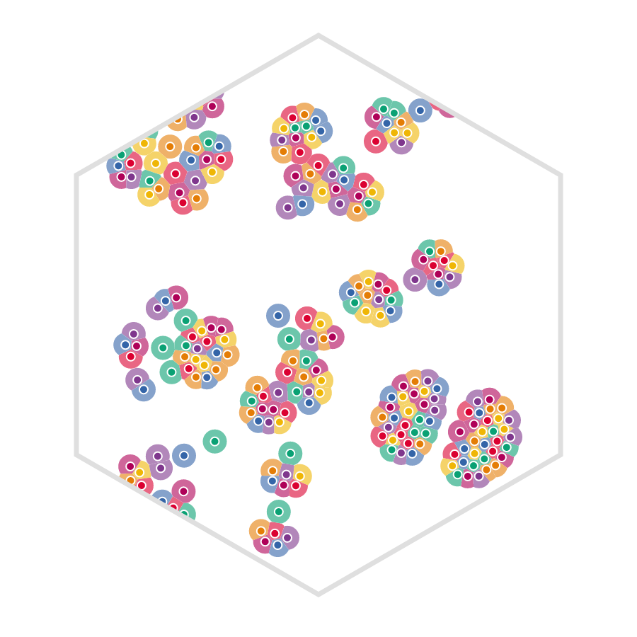 Hacking the Visual norm